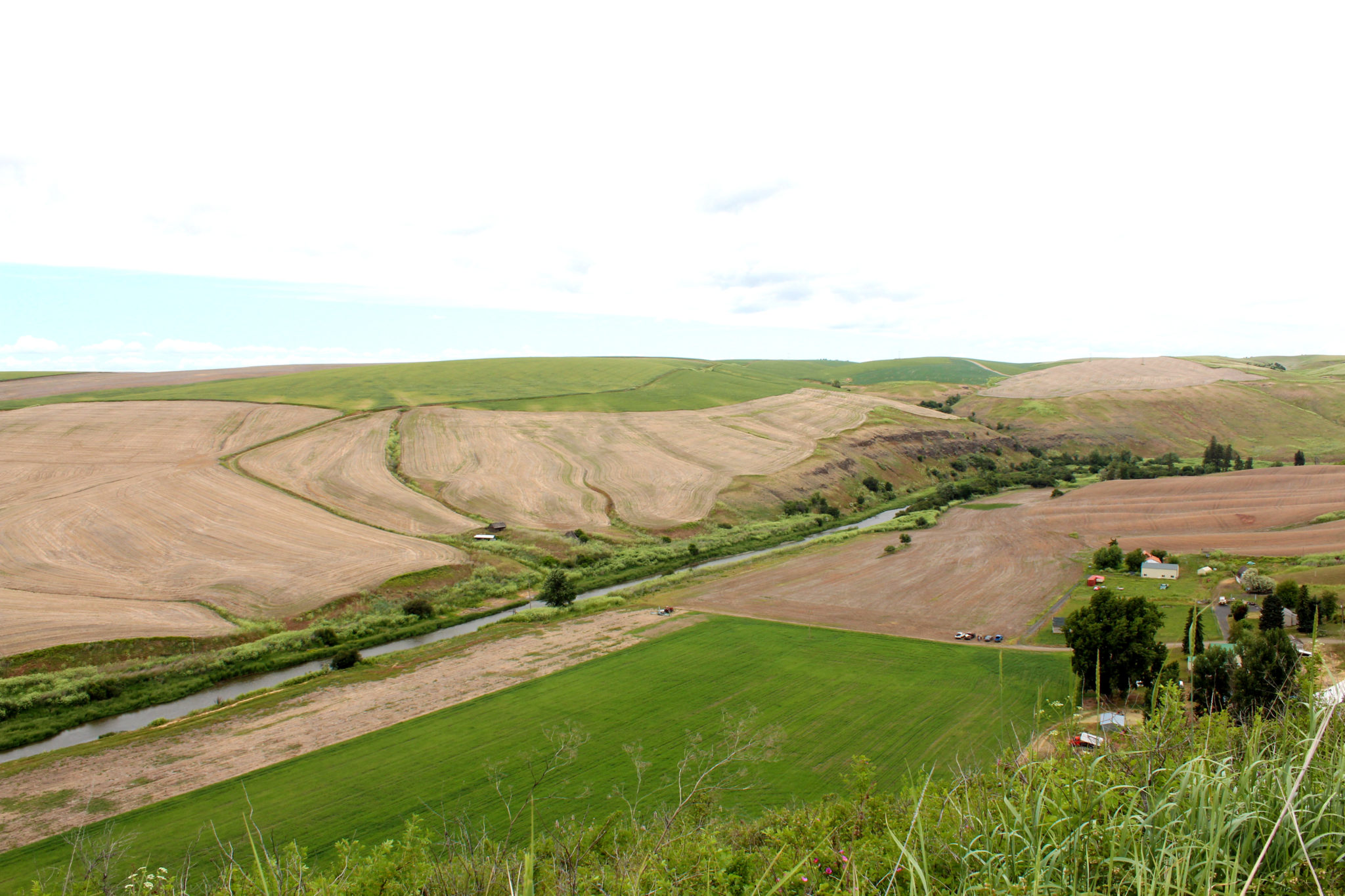 Washington State Organic & Sustainable Farming Fund - Tilth Alliance