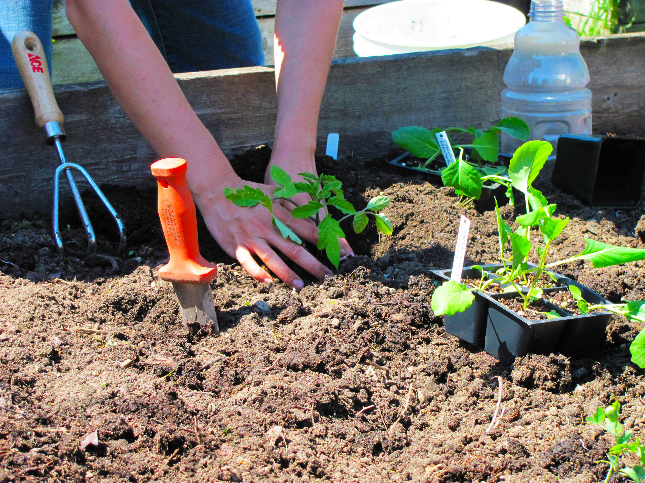 Comprehensive Organic Gardening - Tilth Alliance