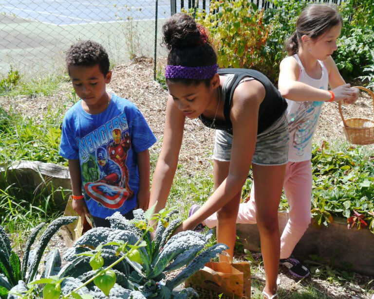 Youth Programs - Tilth Alliance