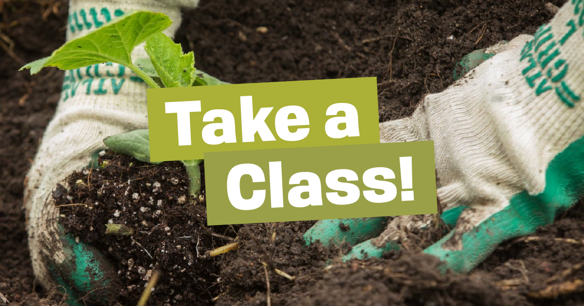 Take a Class - Tilth Alliance