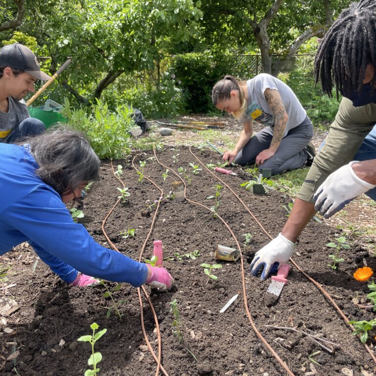 Take a Class - Tilth Alliance