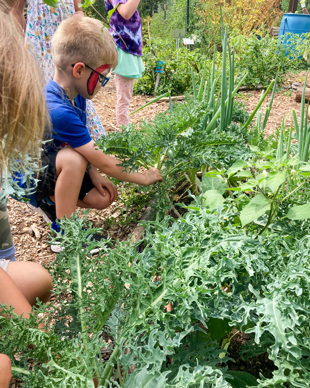 My Friend the Garden - Tilth Alliance