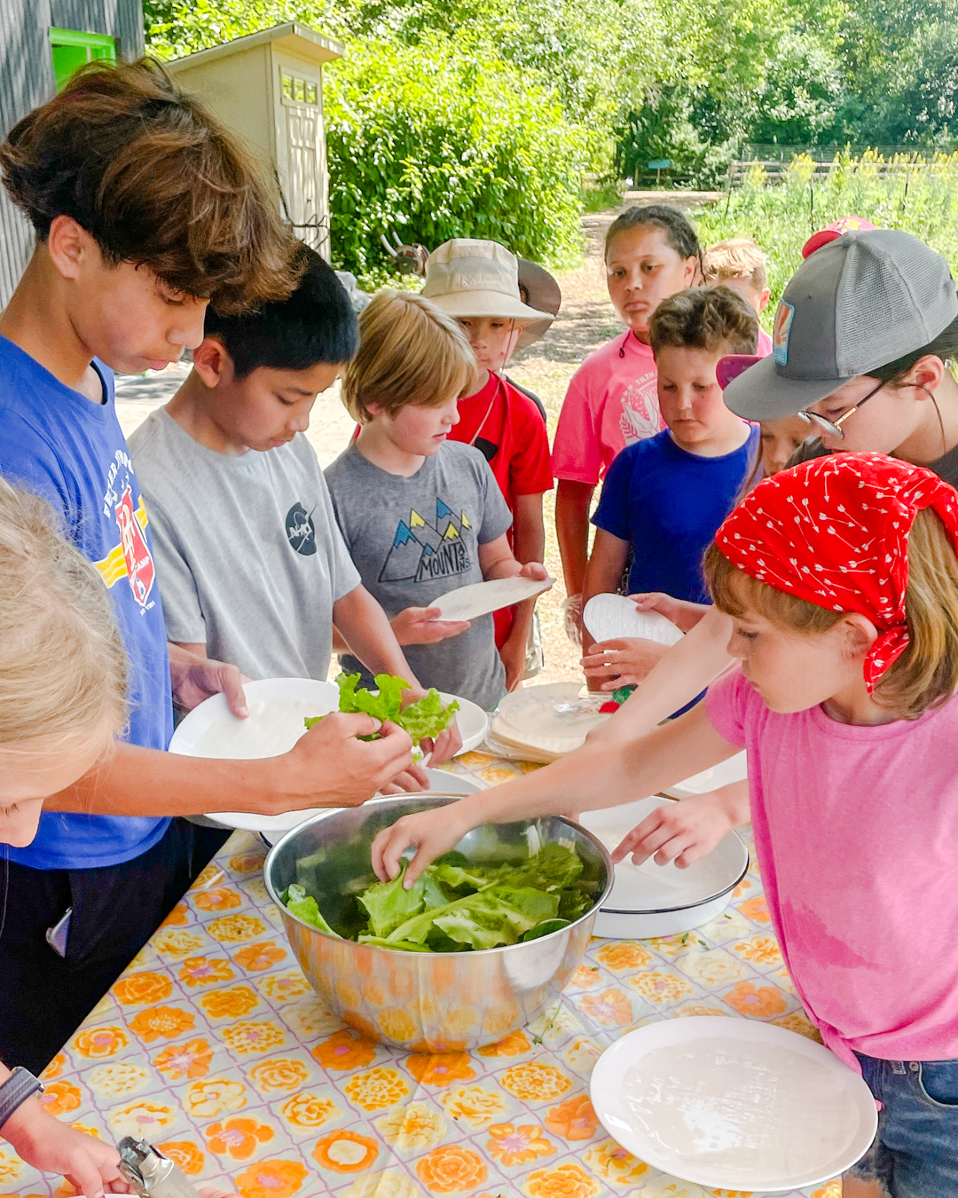 Junior Counselor: Farm to Table - Tilth Alliance