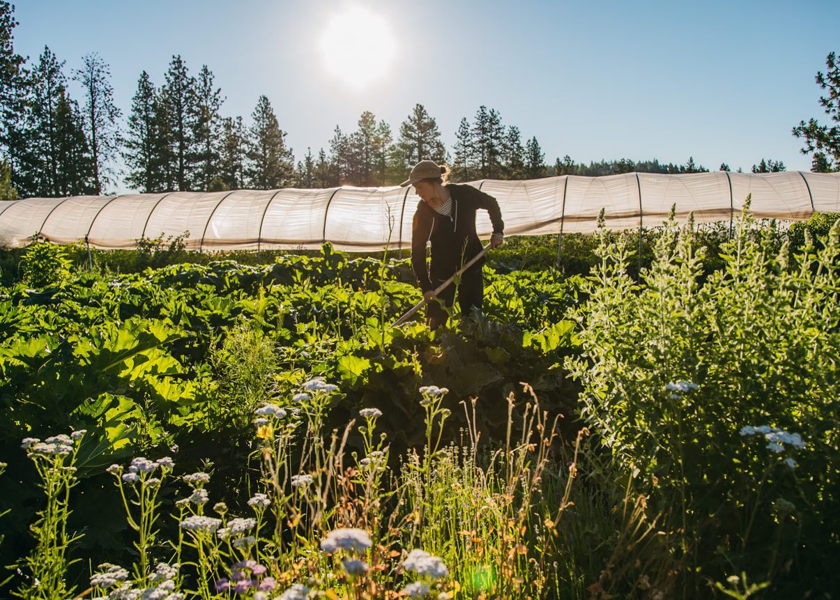 Home - Tilth Alliance