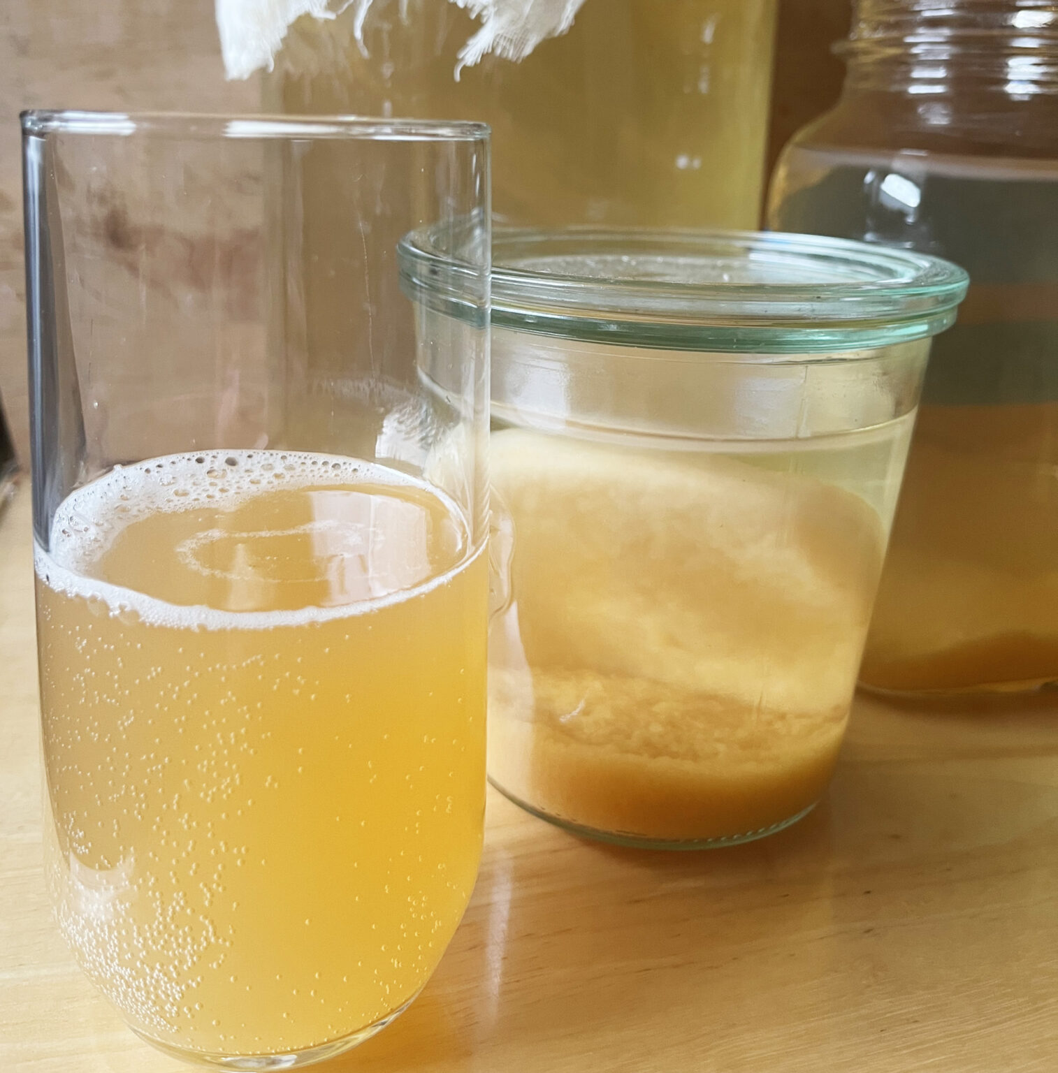 Bubble Up Some Fun: Fermented Ginger Bug - Tilth Alliance